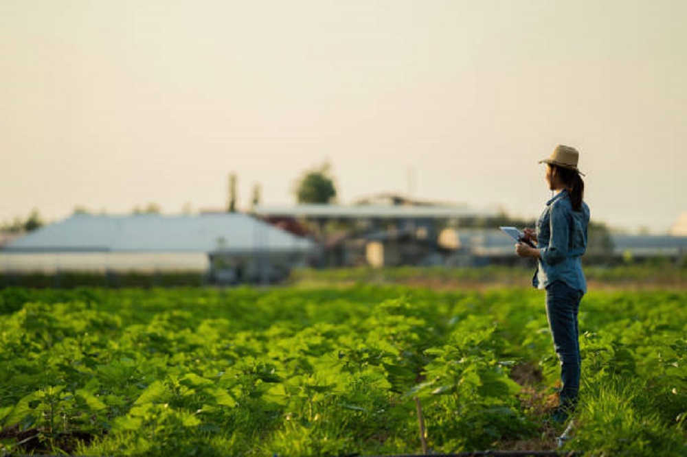 Kiss Kornucopia – Healthy Living Starts Here