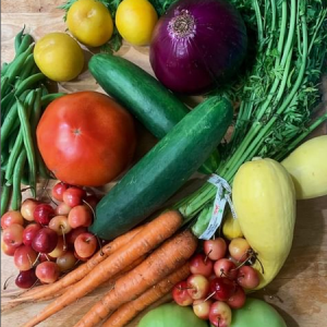 Join CSA – Kiss Kornucopia